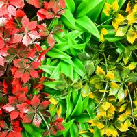 China Manufacturers Direct Sale Artificial Wall Plants Panel Vertical Garden Green Artificial Leaves Hedge Plants On Wall for sale