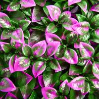 China Newest Hot Sale Wholesales Artificial Plant Wall Panel Beautiful Artificial Plants Grass Wall for sale