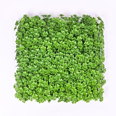 China China Design Wholesale Boxwood Panels Hedge Artificial Plant Grass Wall Artificial Plant Blanket Wall for sale