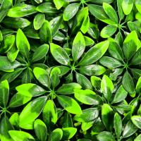 China Sell High-Quality Good Price Vertical 3d Artificial Plants Grass Wall Panel Plant Artificial Walls for sale