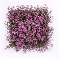 China China Manufacturer Factory Price Uv Artificial Plant Moss Wall Artificial Green Plant Wall for sale