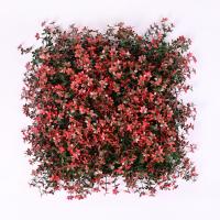 China Hot Sale China Manufacture Quality Artificial Wall Plants With Frame Faux Plant Grass Wall Backdrop for sale