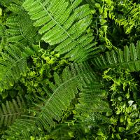 China Good Quality Cheap Price Artificial Plant Wall Features Fireproof And Waterproof Artificial Wall Plants for sale