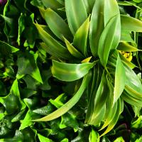 China Wholesale Quality Uv Artificial Plant Rubberized Plants Wall Boxwood Panels Hedge Artificial Plant Grass Wall for sale