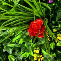 China Wholesale Quality Uv Artificial Plant Rubberized Plants Wall Boxwood Panels Hedge Artificial Plant Grass Wall for sale