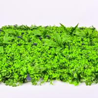 China New Arrival Best Prices Outdoor Decoration Green Artificial Wall Artificial Grass Plant Wall for sale