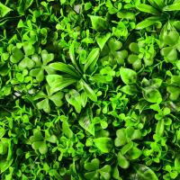 China New Arrival Best Prices Outdoor Decoration Green Artificial Wall Artificial Grass Plant Wall for sale