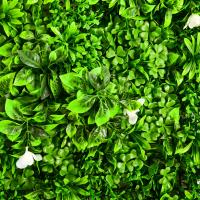 China China Design Wholesale Uv Artificial Plant Panels Grass Wall Moss Wall Plant Decoration Artificial Boxwood Hedge for sale