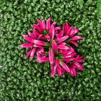 China High Quality Affordable Wholesale Vertical Artificial Plant Wall Hedge Uv Grass Greenery Wall Panel for sale