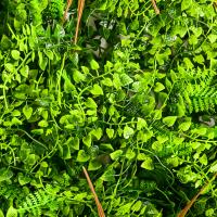 China Factory Direct Sale Cheap Price Artificial Wall Hanging Plant Artificial Plant Green Fern Wall for sale