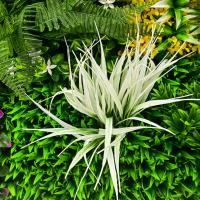 China Factory Wholesale Colorful Fashion Artificial Succulent Plants Wall Art 400 Artificial Plant Wall for sale