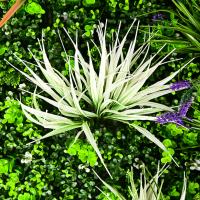 China New Arrival Best Prices Home Decor Artificial Plant Wall Covering Artificial Grass Plants Wall For Outdoors for sale