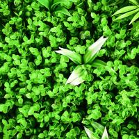 China Durable Artificial Plants Wall Flowers Hanging Wall Panel Ornaments for sale