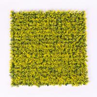 China Boxwood Artificial Wall Panels Hedge Plant Grass Artificial Flower Wall for sale