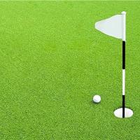 China Gym Turf Artificial Golf Grass Foldable Duplex Putting Green Artificial Turf for sale