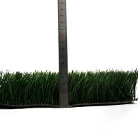 China Sports Landscaping Artificial Grass Flooring Carpet Football Grass Mat for sale