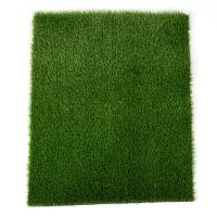 China Wholesale high-quality good price artificial grass indoor carpet roll artificial grass mat for sale
