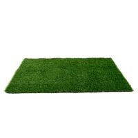 China Newest Hot Sale Grass Artificial Carpet Fireproof Plastic Artificial Grass And Sports Floors for sale
