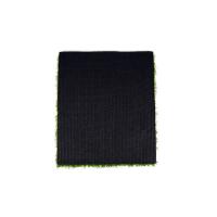 China Outdoor Green Artificial Grass Eco Friendly Gym Plastic Grass Mat for sale