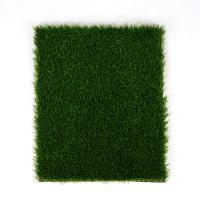China Direct Wholesale Good Quality Artificial Grass Roll Carpet Indoor Balcony Decoration Roll Artificial Grass Lawn for sale