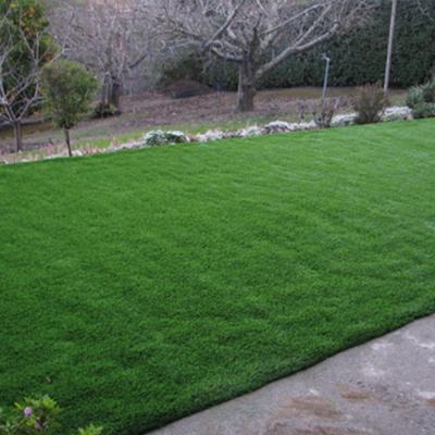 China China Factory Good Quality Grass Artificial Carpet Fireproof Plastic Artificial Grass And Sports Floors for sale