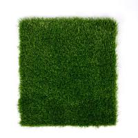 China Newest Hot Sale 5cm Grass Artificial Putting Green Artificial Turf Plastic Grass Wall for sale