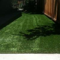 China High Grade New Design 5 Cm Artificial Grass Carpet Green Carpet Roll Wall Grass Decoration Artificial for sale