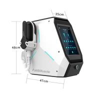 China Two Handles Desktop Emslim Machine Fat Loss Body Shaping slim beauty machine for sale