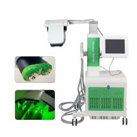 China CE Fat Removal 10D Laser Slimming Machine EMS Frozen Plate Fat Dissolve for sale