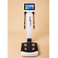 China 3D Smart Body Analyzer Composition Bioimpedance Analyzer Balance for sale