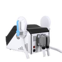 China Beauty Salon EMS Sculpting Machine Body Sculpting Machine 2pcs Handles for sale