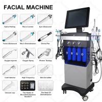 China Microdermabrasion Hydra Dermabrasion Machine Acne Treatment Facial Skin Beauty Machine for sale