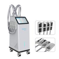 China 8 Pads Cryolipolysis Machine with EMS Technology for Cellulite Reduction for sale