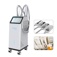China 8 Pads Cryolipolysis Machine with EMS Technology for Cellulite Reduction for sale