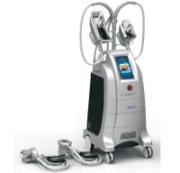 China CE Certified Cryolipolysis Equipment For Salon And Clinic Commercial Use for sale