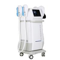 China Fat Loss Body Sculpting EMS Sculpting Machine Professional Beauty Salons for sale