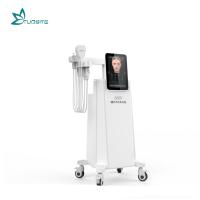 China Facial Contouring Tightening Lifting EMS Sculpting Machine Face Firming Machine for sale