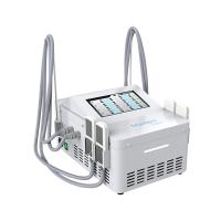 China Full Body Fat Reduction And Shaping Cryo Fat Freezing Machine 400W Power for sale