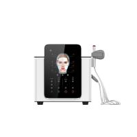 China Facial Contouring Portable EMS Sculpting Machine Face Lifting Device for sale
