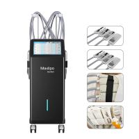 China Non Invasive 800W Cryolipolysis Machine 8 Handles For Body Slimming for sale
