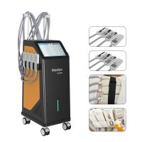 China Non Invasive 800W Cryolipolysis Machine 8 Handles For Body Slimming for sale
