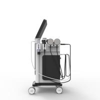 China 3 in 1 Smart Tecar Ultrasound Shockwave Therapy Machine For Physiotherapy for sale
