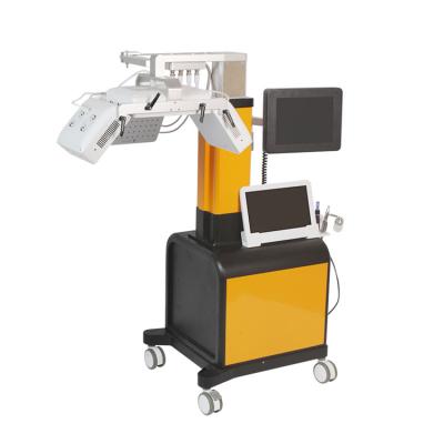China Multifunctional Laser Hair Regrowth Machine For Hair Loss Treatment for sale
