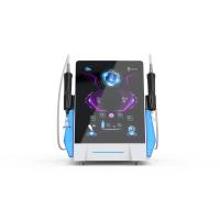 China Portable 2 Handles Cold Plasma Machine For Hair Anti Loss Skin Rejuvenation for sale