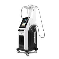 China Face Lifting Cellulite Removal Inner Roller Machine Vela Body Sculpture Machine for sale