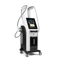 China Face Lifting Cellulite Removal Inner Roller Machine Vela Body Sculpture Machine for sale
