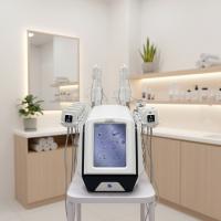 China Portable TruShape ID EMS Body Slimming Machine For Weight Loss for sale