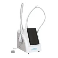 China 600W Facial Tightening And Cool Sculpting Machine 2450MHz Fat Freezing Equipment for sale