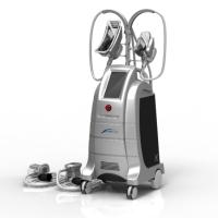 China CE Certified Cryolipolysis Equipment For Salon And Clinic Commercial Use for sale