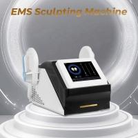 China Beauty Salon EMS Sculpting Machine Body Sculpting Machine 2pcs Handles for sale
